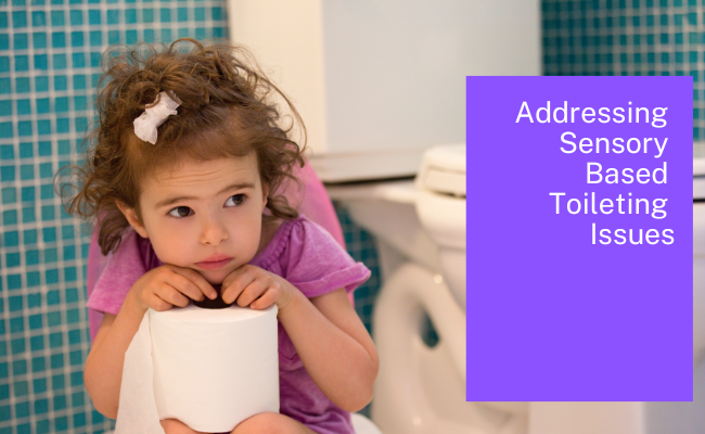 Workshop | Addressing Sensory Based Toileting Issues - Waiting List ...