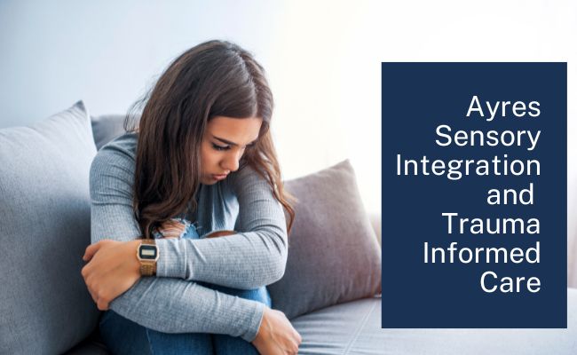 Workshop | Ayres Sensory Integration and Trauma Informed Care - Sensory ...