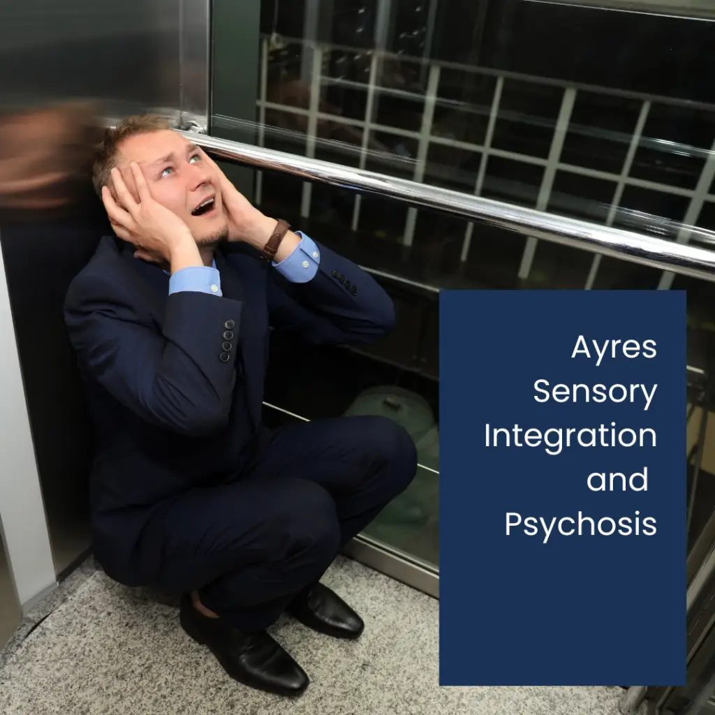 Specialist Workshop | Ayres' Sensory Integration and Psychosis Across ...