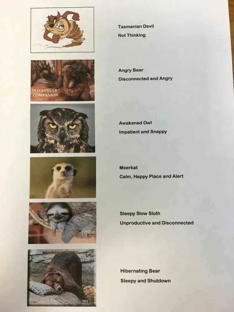 Sensory Ladders and Occupational Therapy - Sensory Project