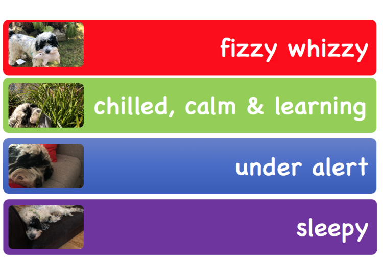 Sensory Ladders and Occupational Therapy - Sensory Project