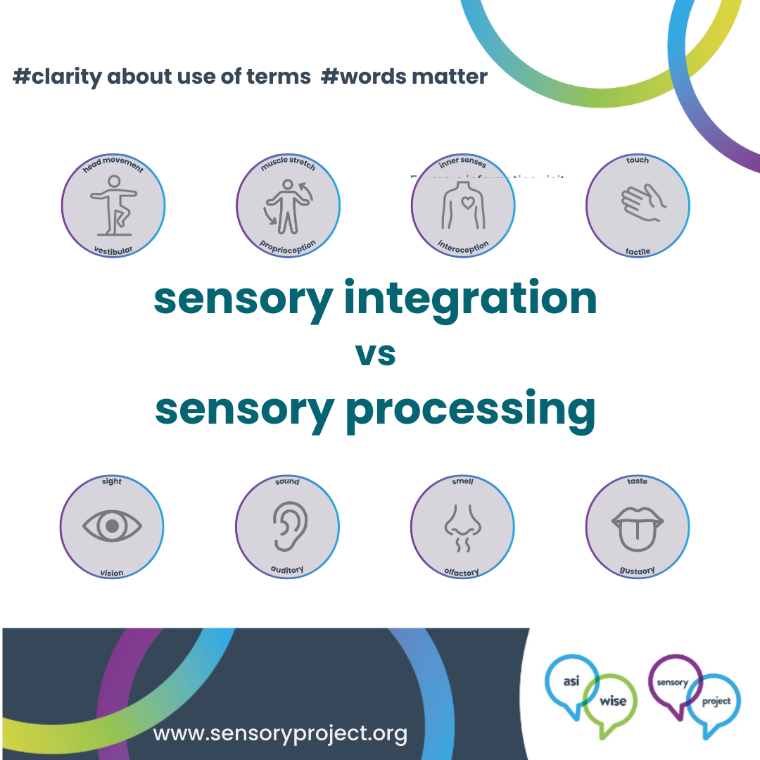 Sensory Integration vs Sensory Processing? - Sensory Project