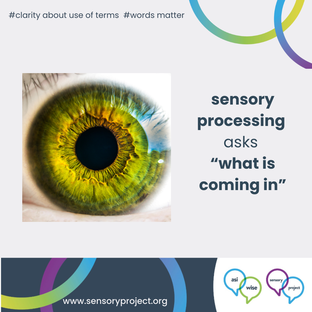 Sensory Integration vs Sensory Processing? - Sensory Project