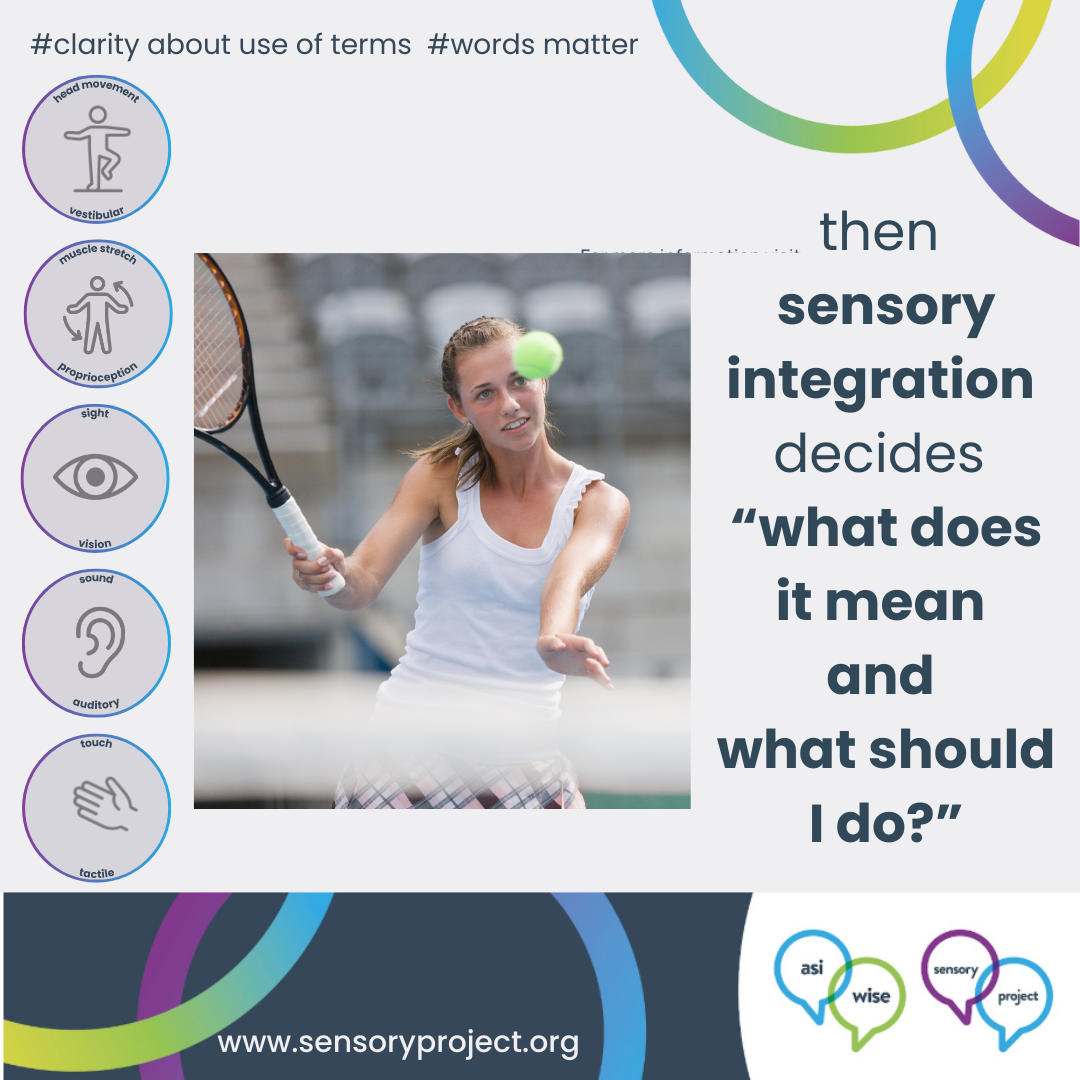 Sensory Integration vs Sensory Processing? - Sensory Project
