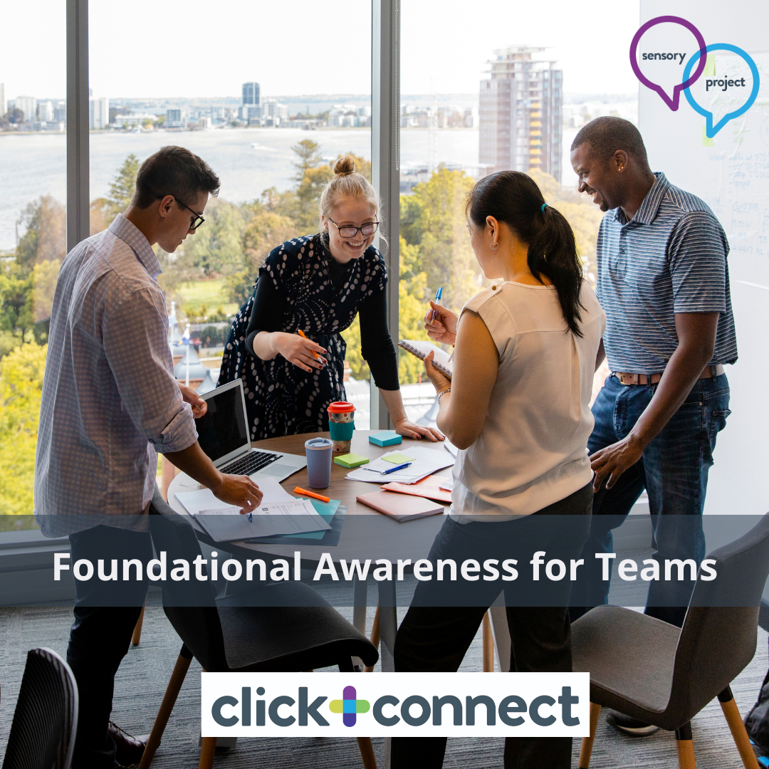 Foundational Awareness for Teams - Sensory Project