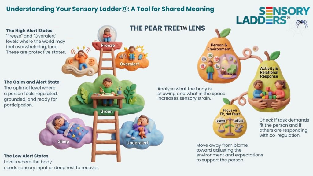 Sensory Ladders® | Regulation, Perception, Praxis and Participation ...